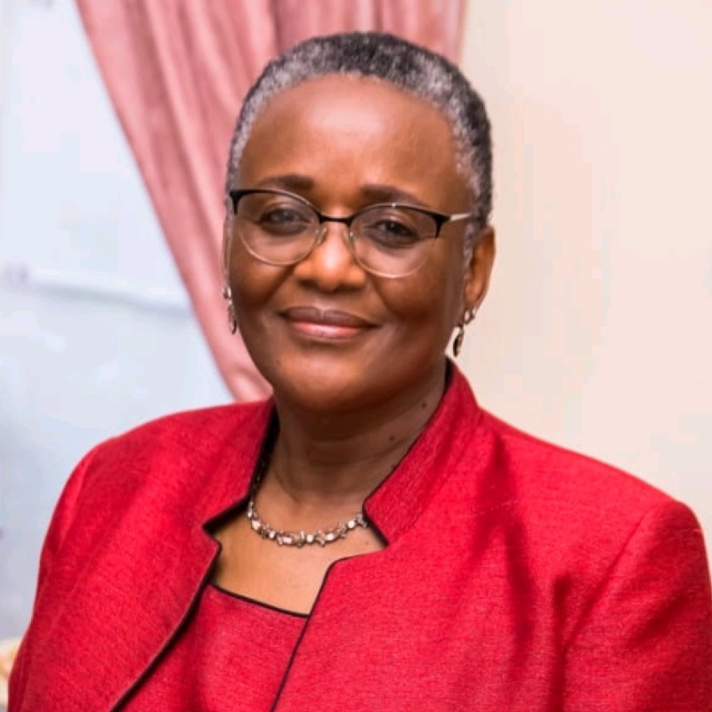 South African Embassy - Business IN South Africa